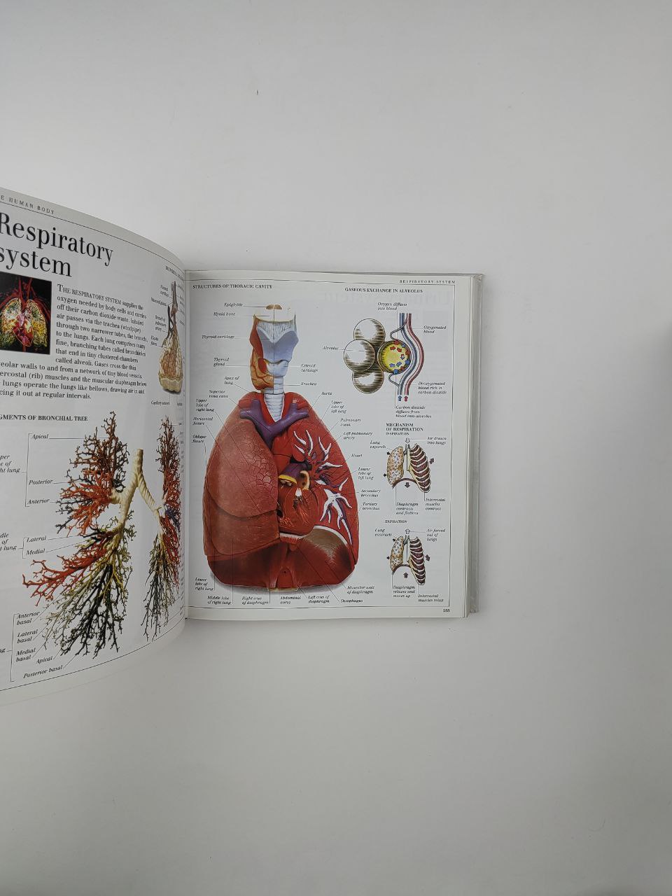 DK Ultimate Visual Dictionary - هیواد