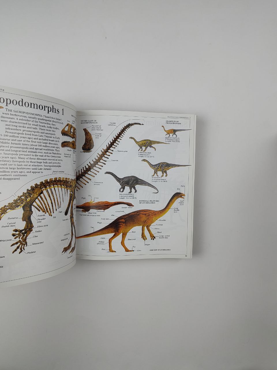 DK Ultimate Visual Dictionary - هیواد