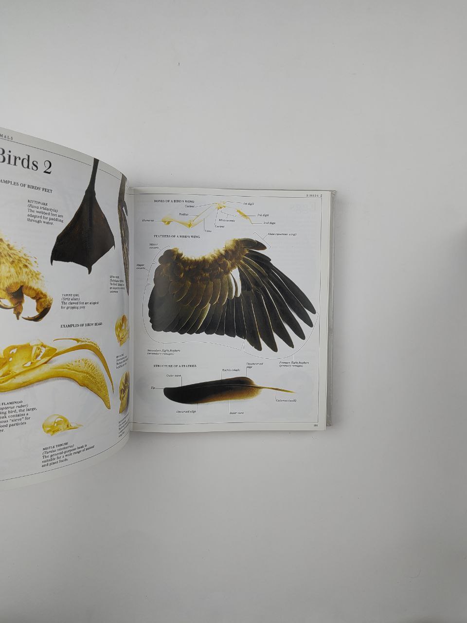 DK Ultimate Visual Dictionary - هیواد